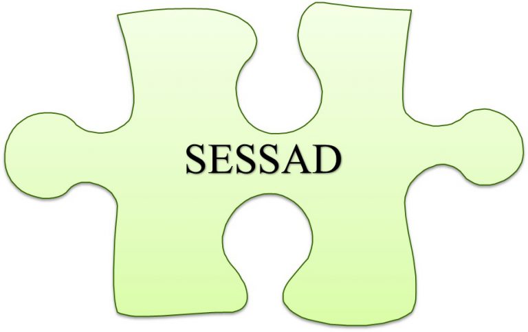 SESSAD-Service d'Education Speciale et de Soins à Domicile - Centre ...